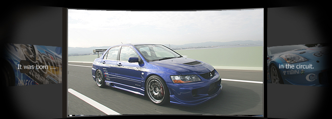 ings =イングスエアロ、N-SPEC LANCER EVOLUTION Ⅷ・Ⅸ CT9A激安、格安、最安HIRANO TIREオンラインカタログ